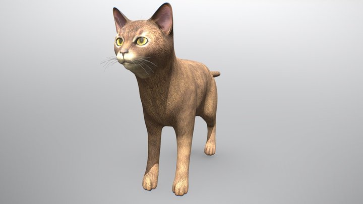 Cats 3D models - Sketchfab