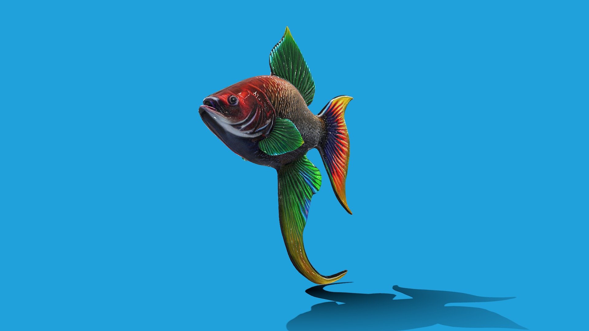 Tropical fish LP - 3D model by interaction [ec506d9] - Sketchfab