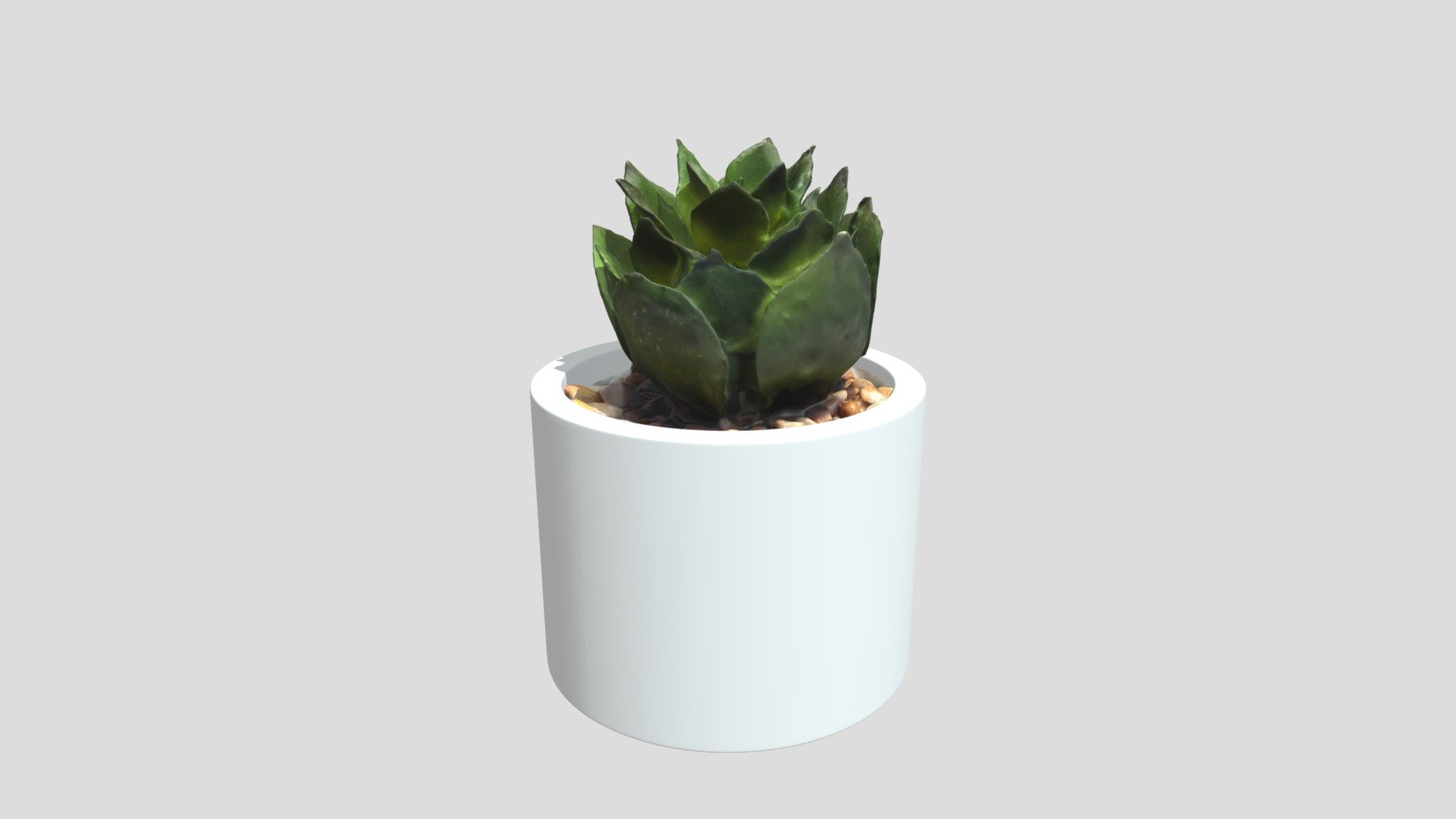 Realistic Desk Pot Plant - 3D model by SpiritZone [ec52dab] - Sketchfab