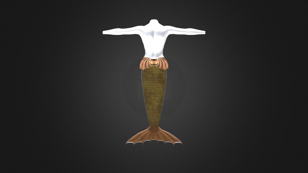 mermaid tail - 3D model by captnpower [ec62893] - Sketchfab