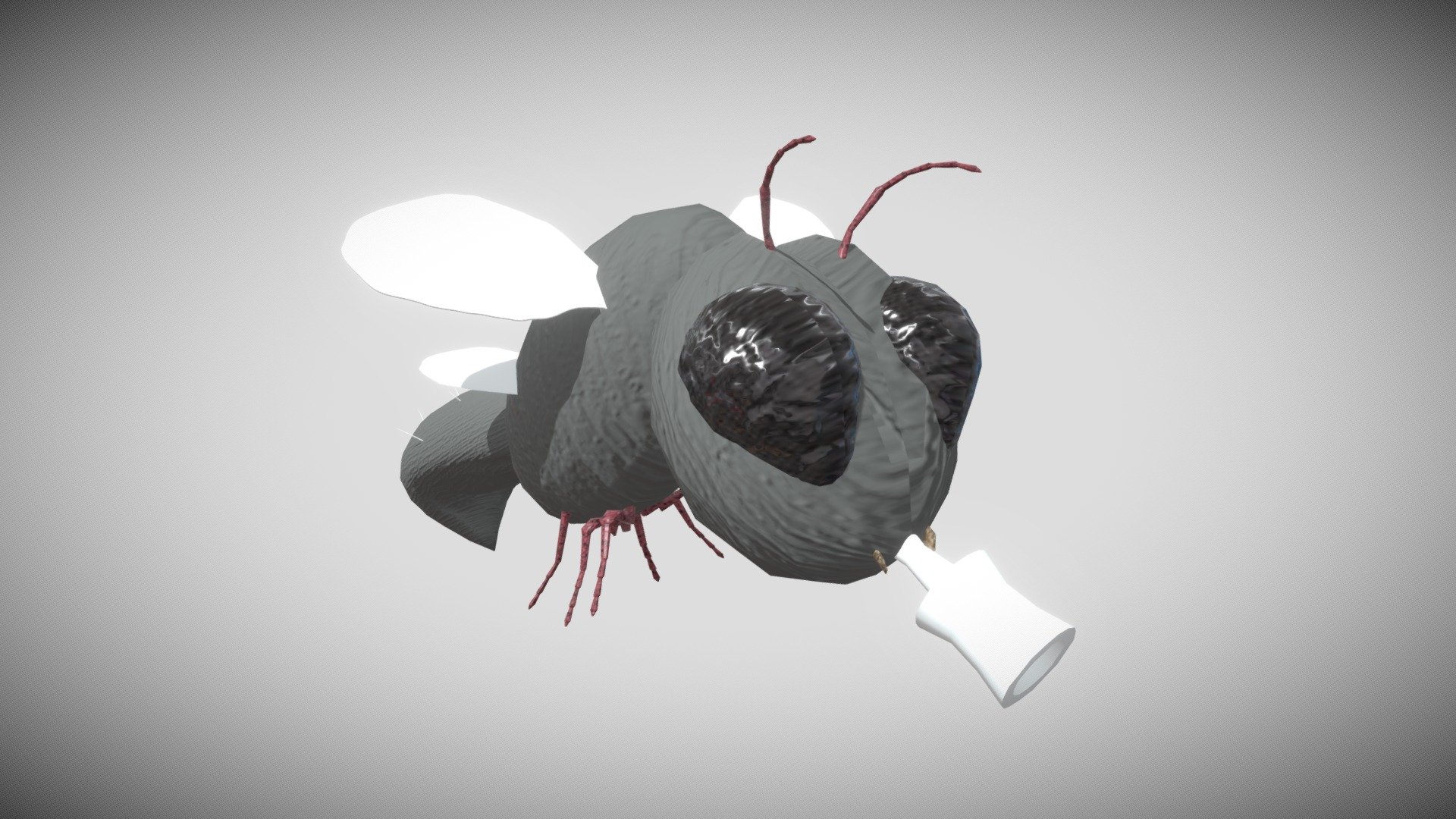 Fly - 3D model by jaywedge [ec63f64] - Sketchfab