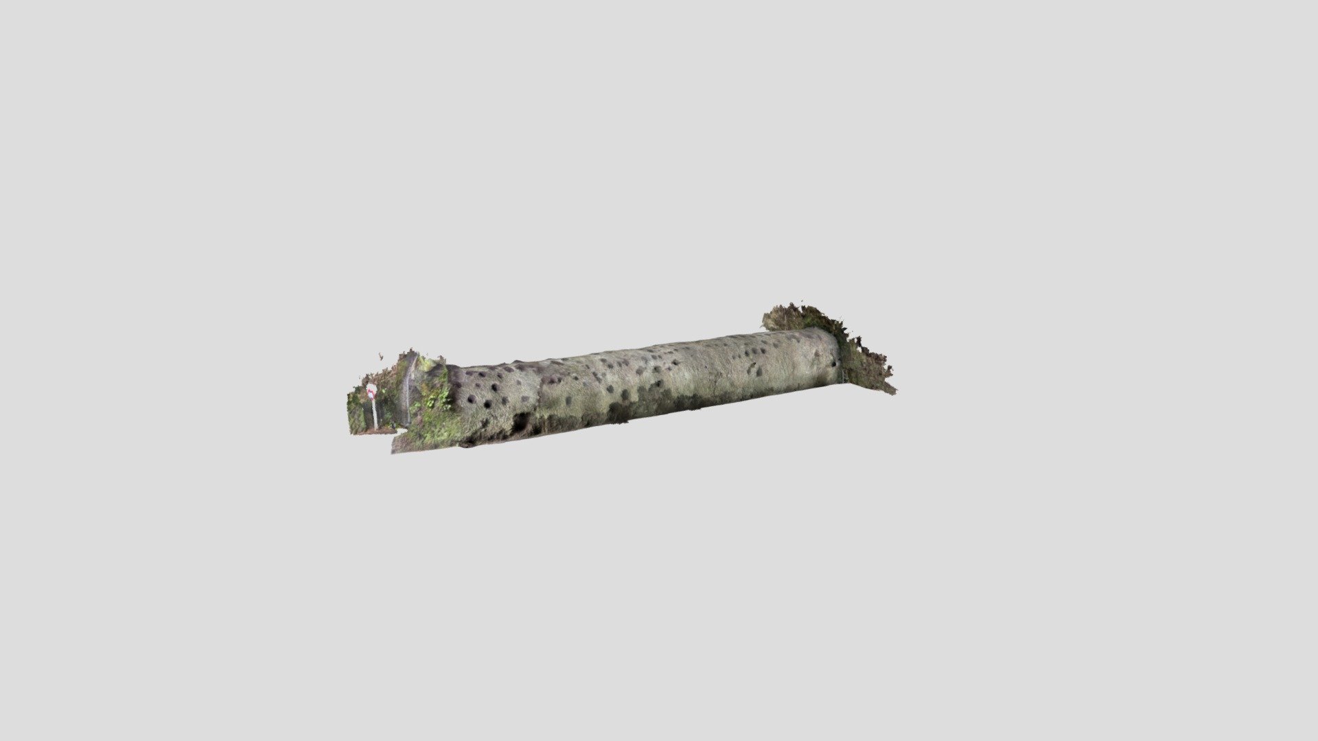 Untitled Scan - Download Free 3D model by toyog [ec6c559] - Sketchfab