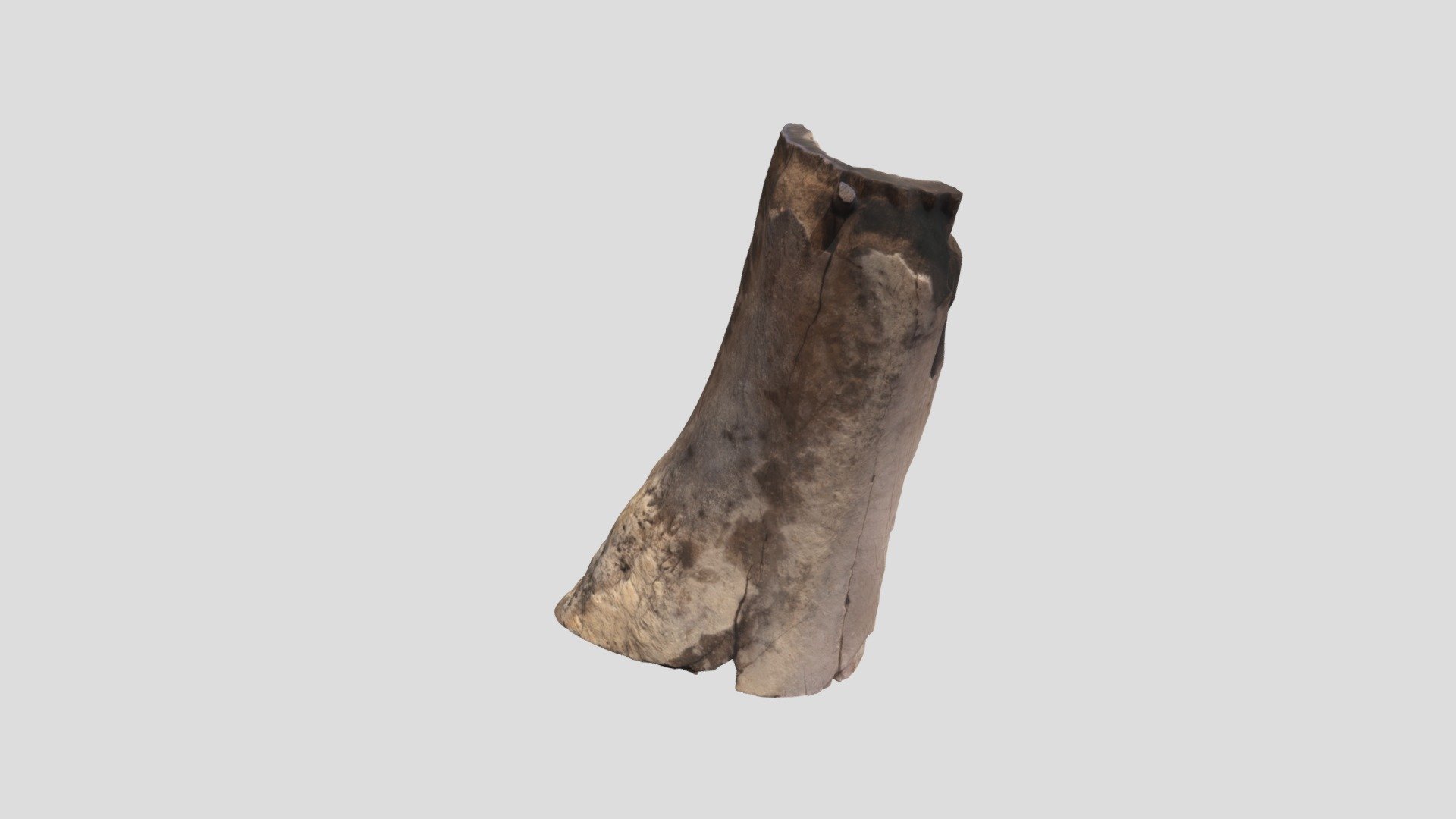 Cremated bone (ossa longa) - 3D model by Tyra Wingard (@TyraWingard ...