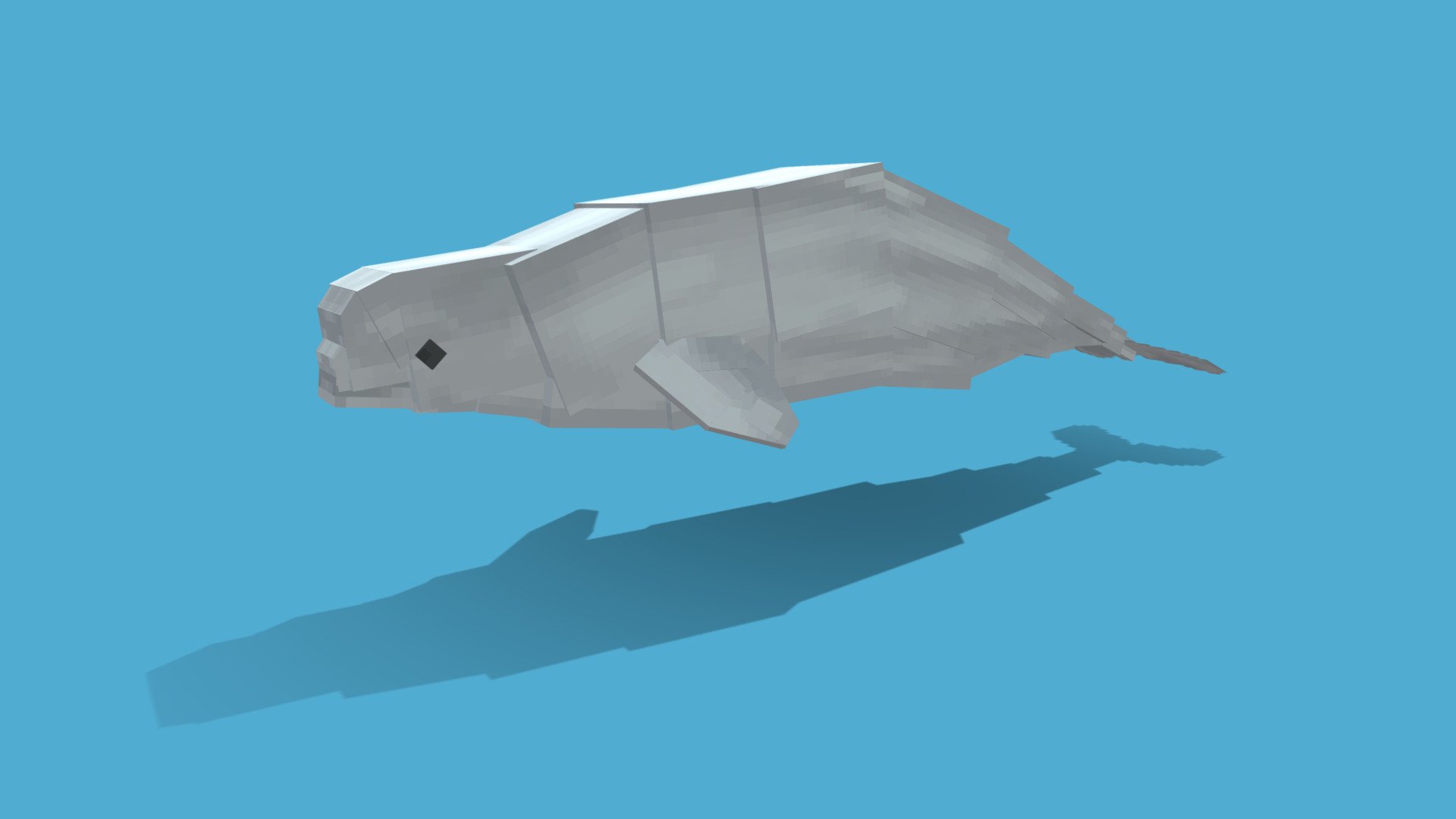 Beluga Whale - 3D model by Smooch3D (@Smoochie) [ec814d7] - Sketchfab