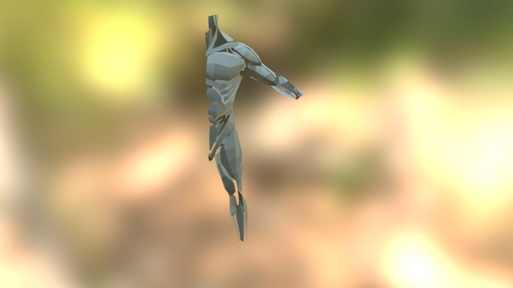 Base Musculature For Any Character - 3D model by Luiz Alexandre ...