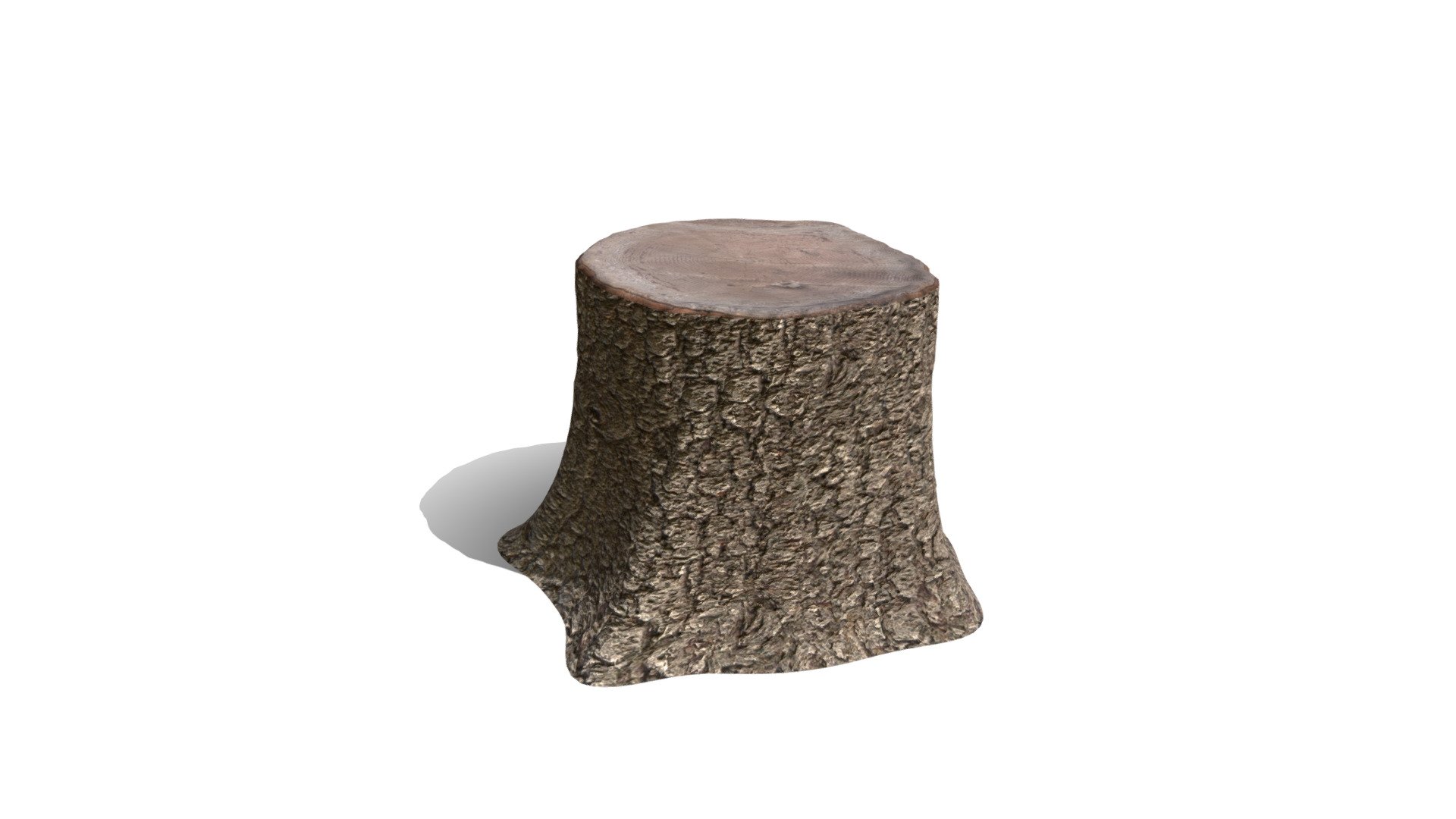 Realistic HD Colorado Blue spruce Koster (43/43) - Download Free 3D ...