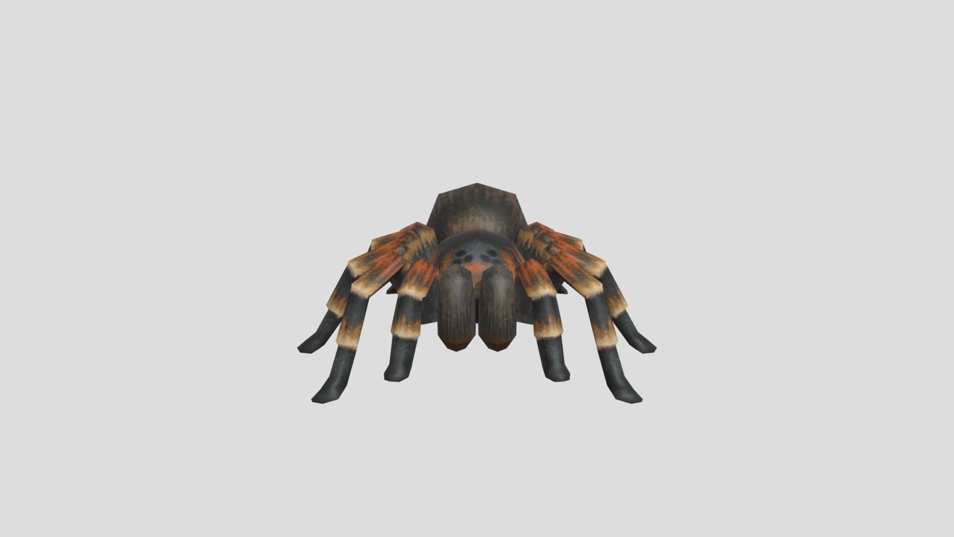 Taranchura (ACNH) - Download Free 3D model by naviogutierrezdavid [ec962b6] - Sketchfab