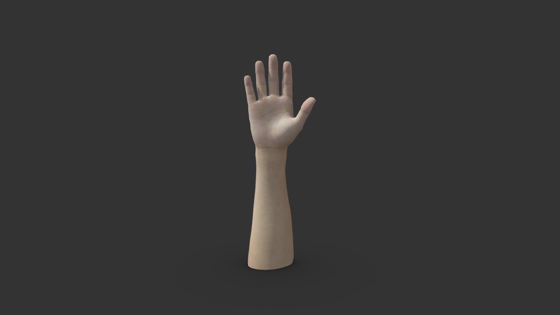 Rigged right hand - 3D model by LimaOpat [eca57f3] - Sketchfab