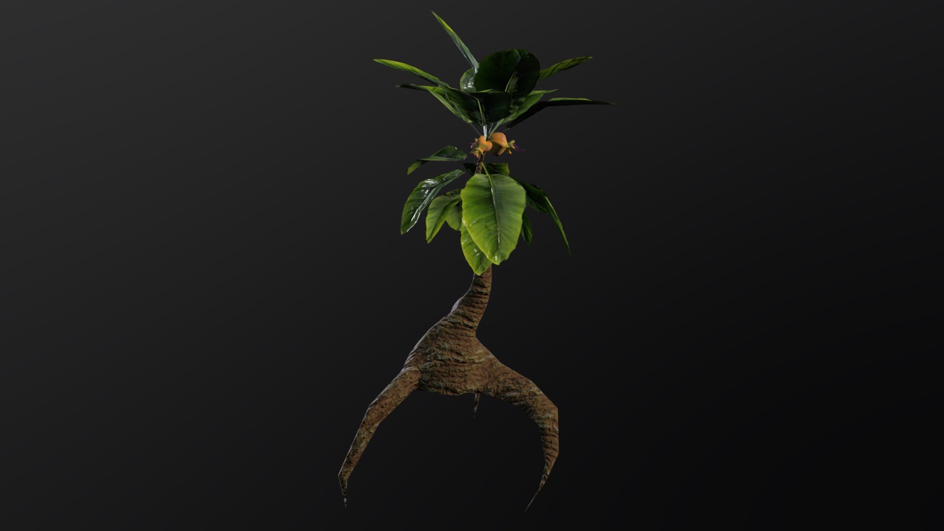 Alien Palm Tree - 3D model by taleo22 [eca75d5] - Sketchfab