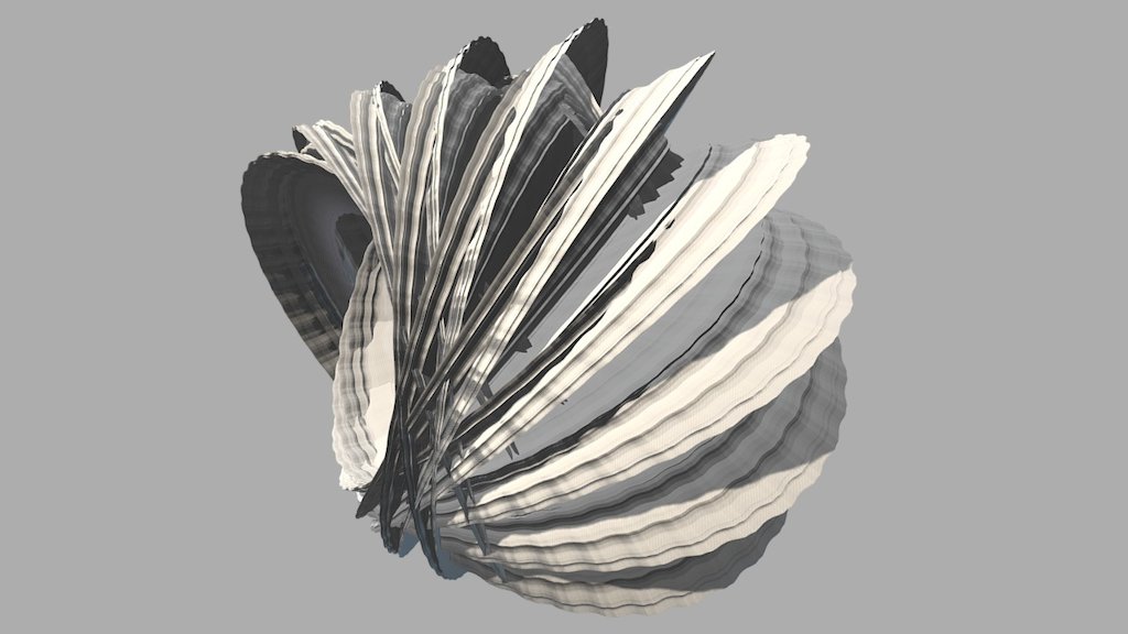 Sea Shell #2 - 3D model by Eric.Matthaey [ecb1fab] - Sketchfab
