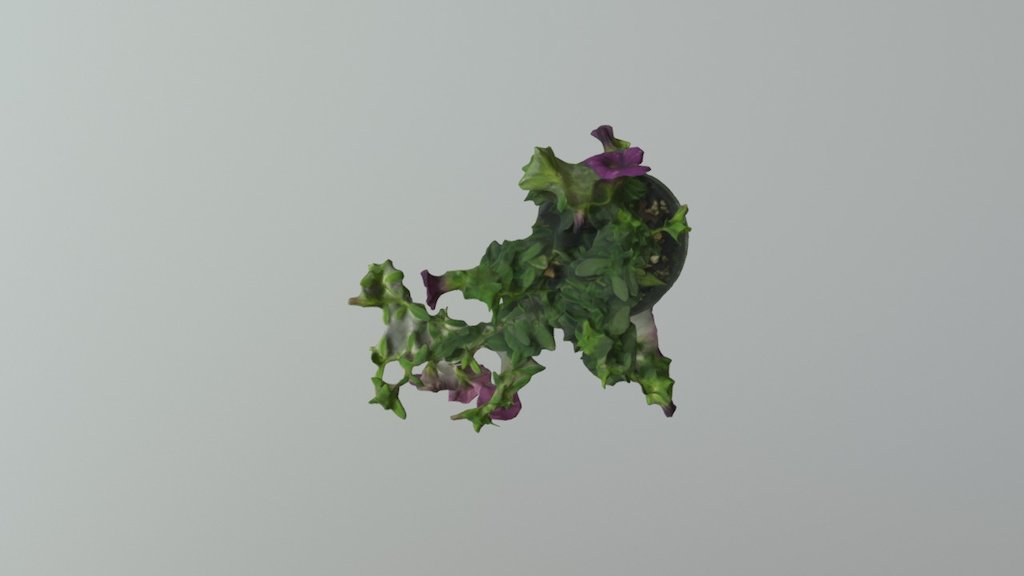 Flower - 3D model by aq44 [ecb3b3b] - Sketchfab