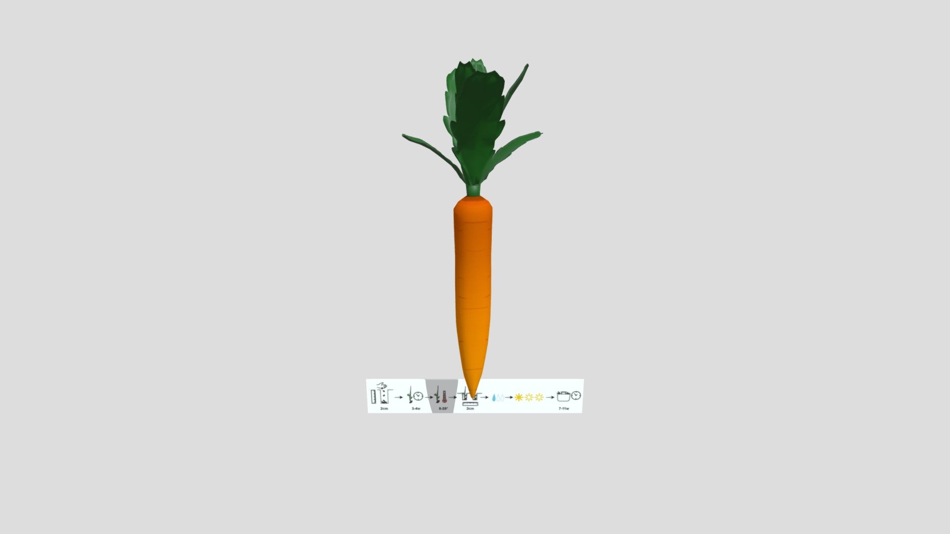 Carrot_animated_signed - Download Free 3D model by karlosdrechsler ...