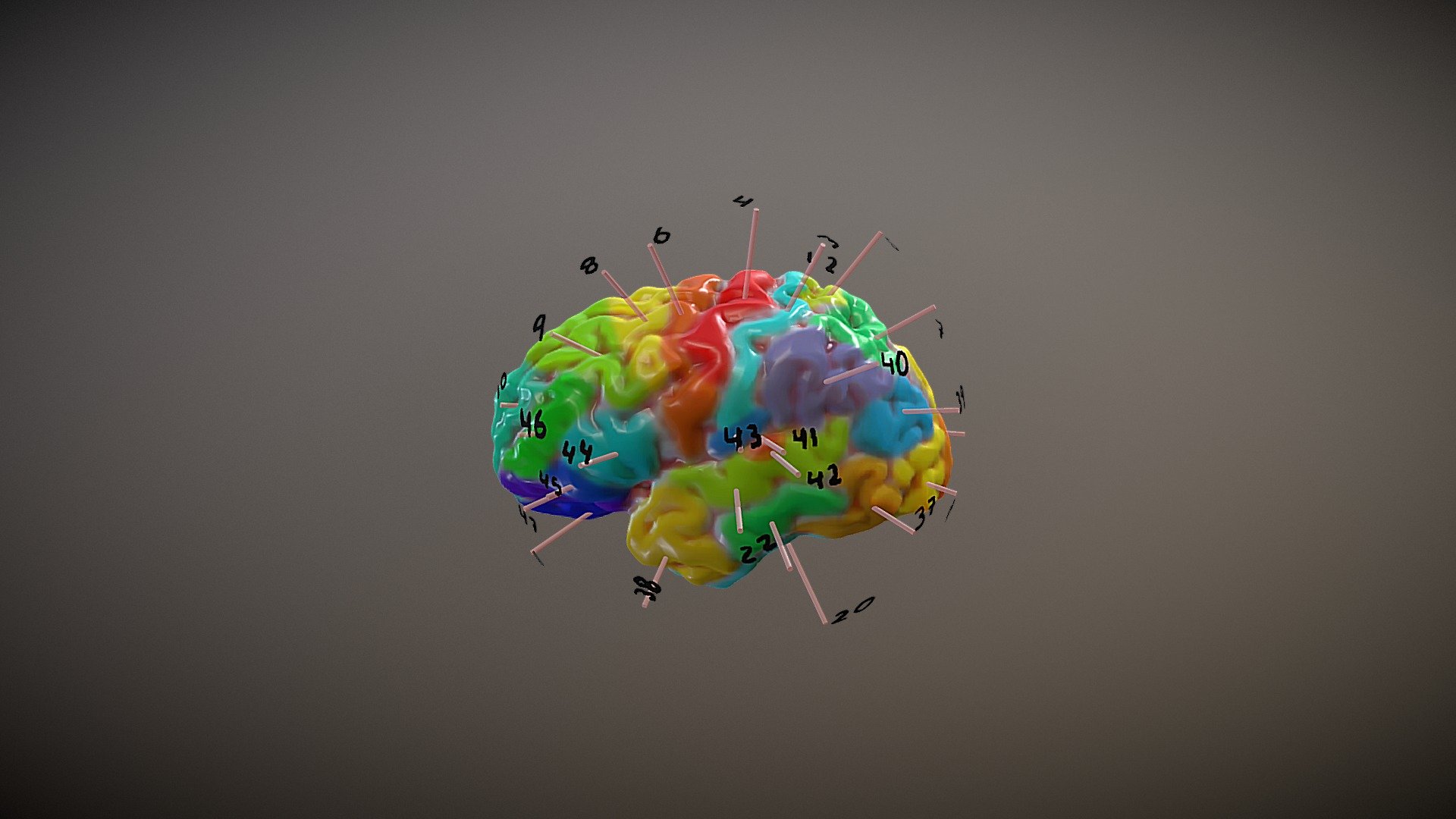 Brodmann Atlas - 3D model by Juan Arias (@BlackBoxLinfo) [ecc2164 ...