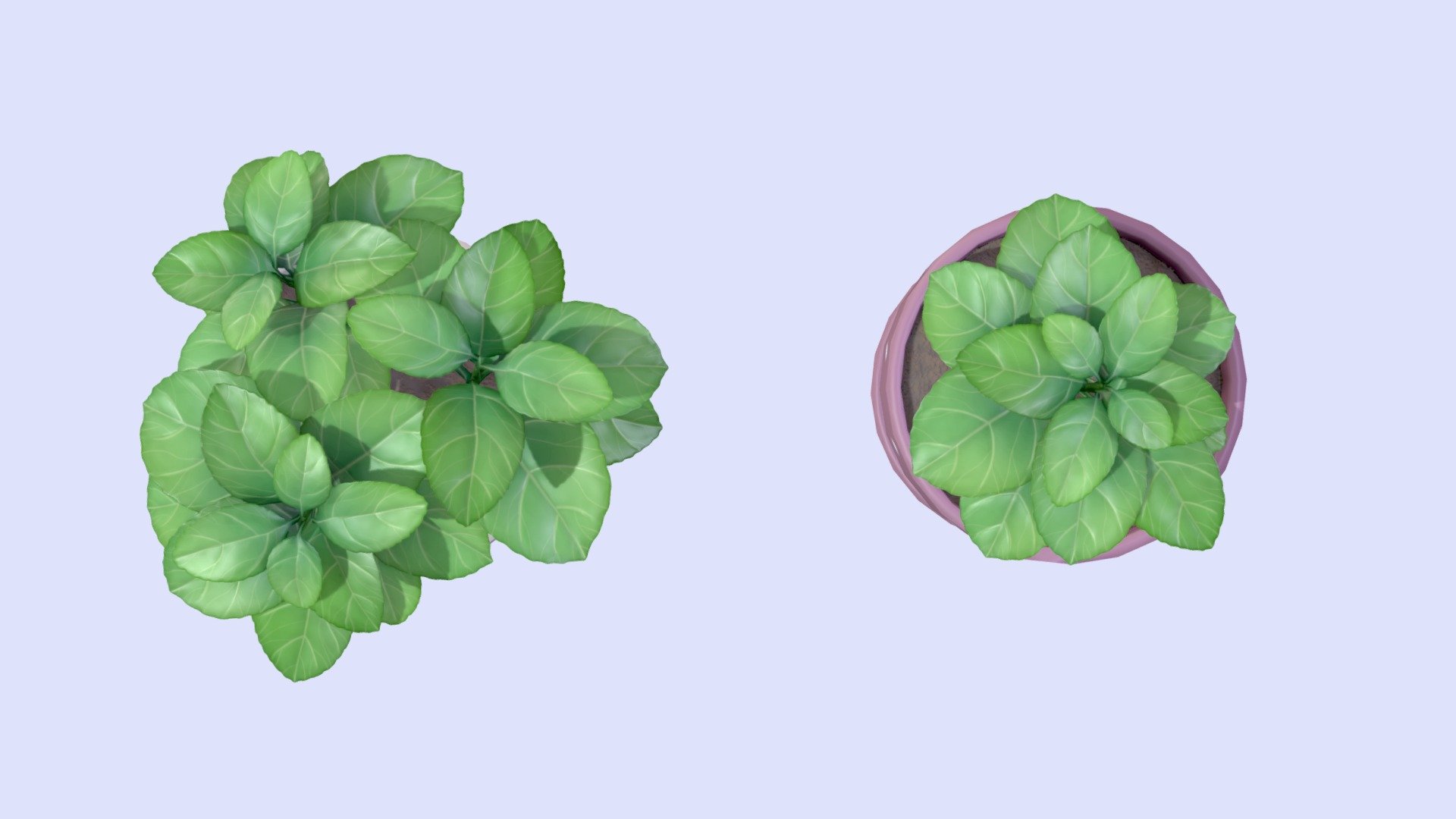 Stylized basil pot plant - Download Free 3D model by sauti [ecc5bdf ...