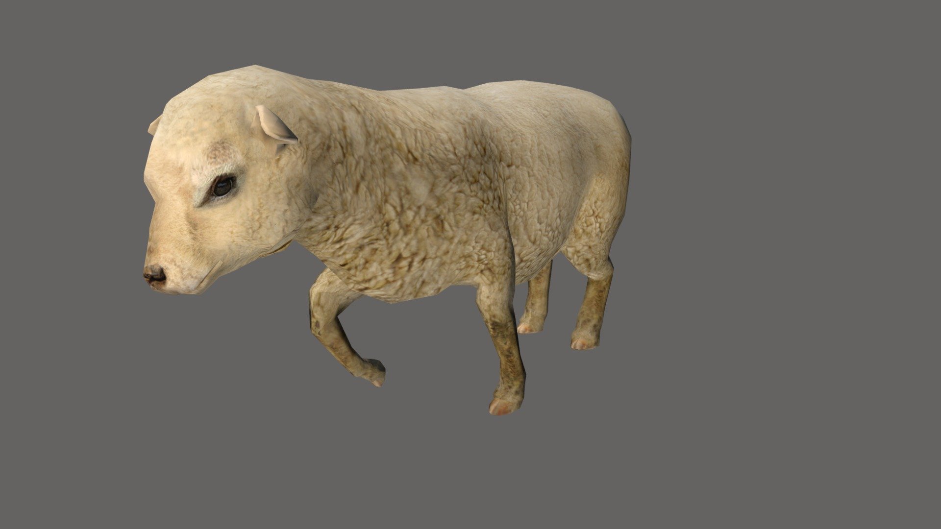 Sheep - 3D model by josluat91 [ecce498] - Sketchfab