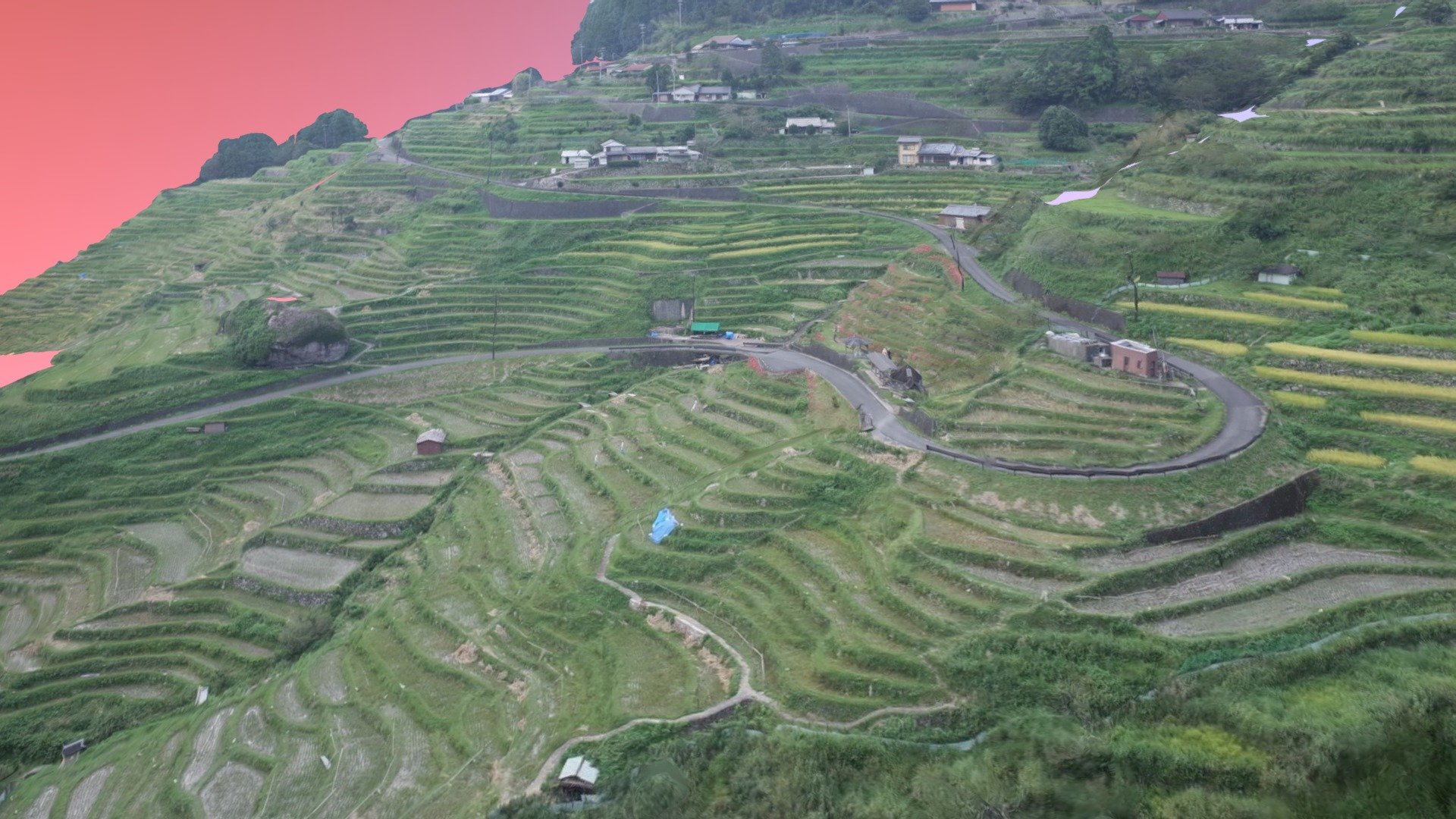 2018-09-24 Maruyama Rice terrace - Download Free 3D model by Takuro ...