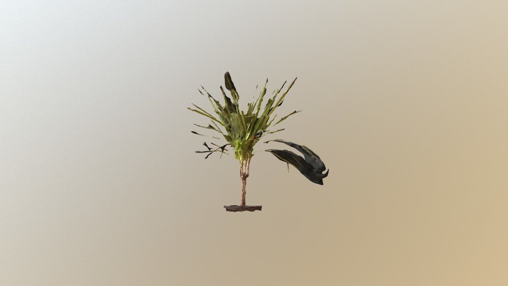 Plant Scan (Recap Free quality) - 3D model by dmnjansen [ecec8f6 ...