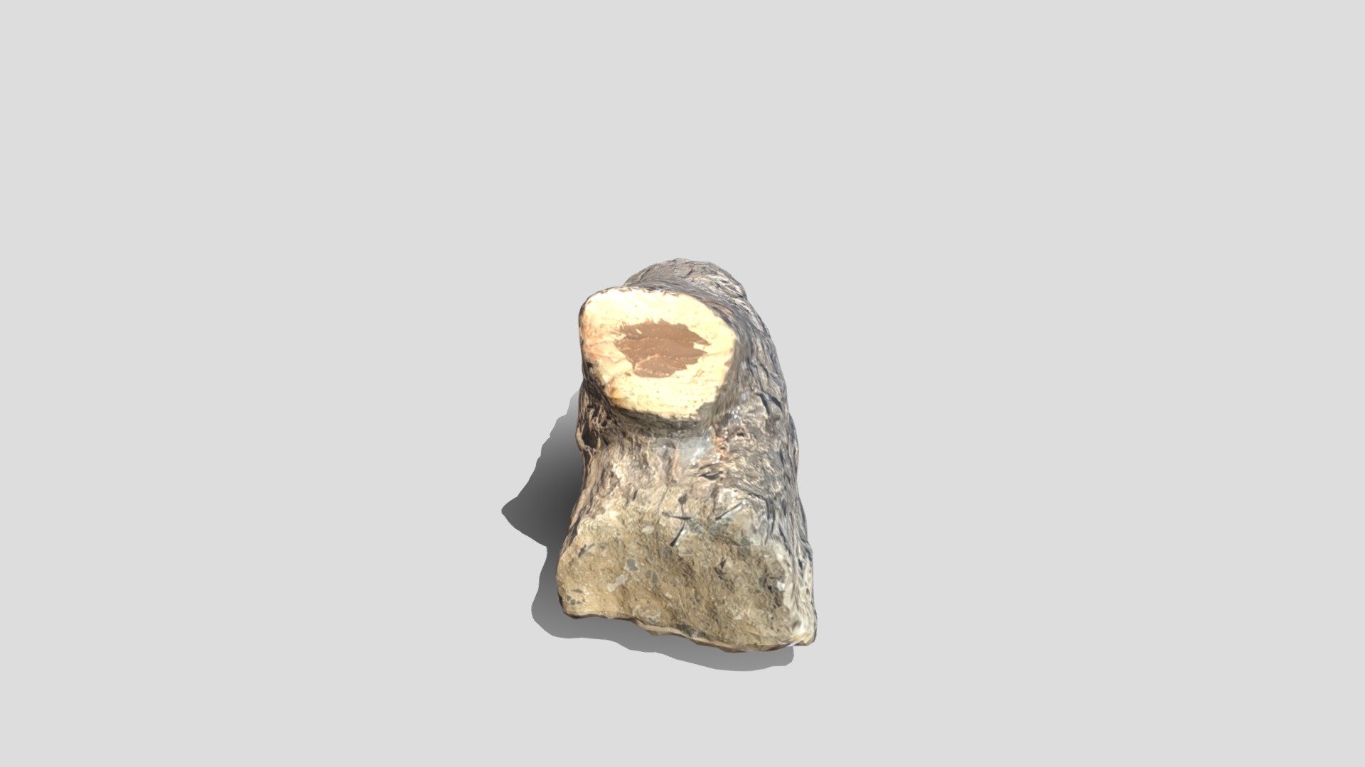 Weathered Oak Log 2 - Download Free 3D model by Montana Fire Pits ...