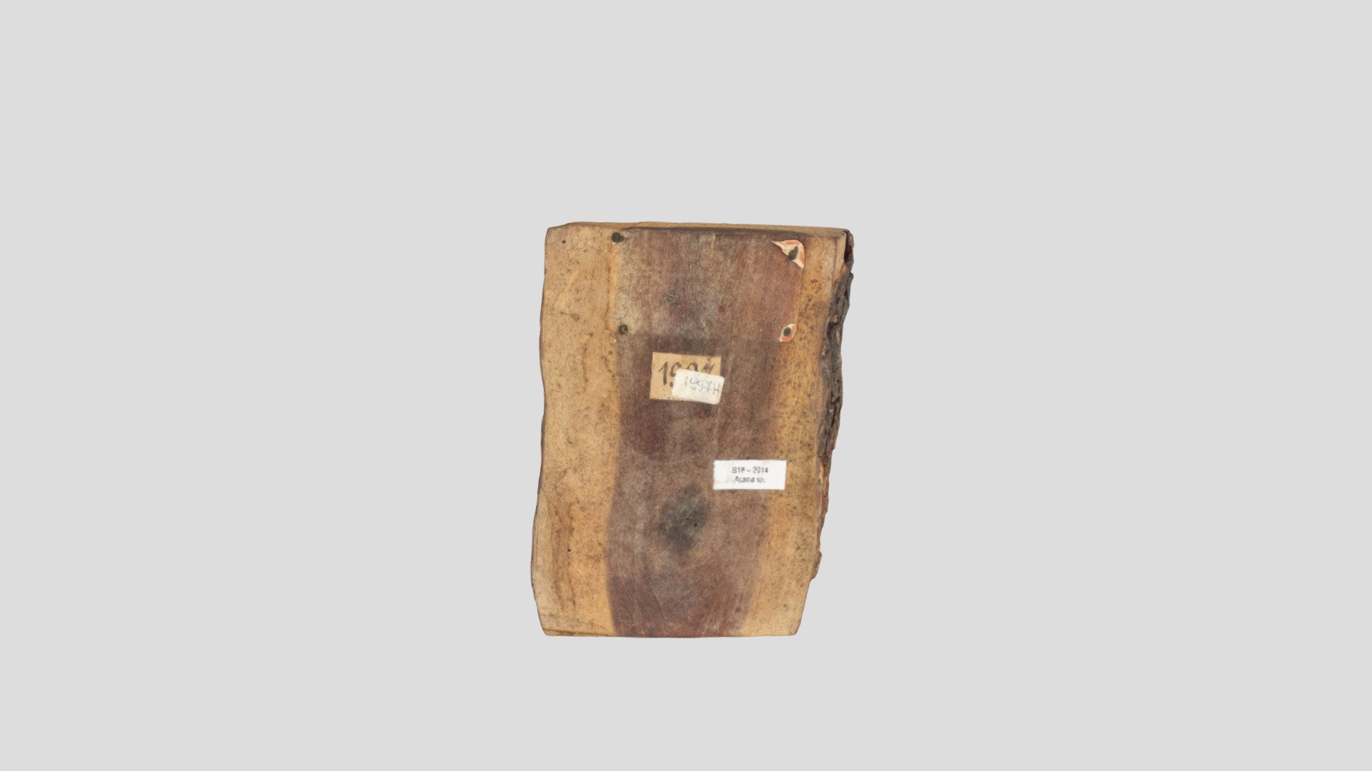 Wood Collection, Xylarium sample #21 - 3D model by SMA-UniGe [ecf12f6 ...