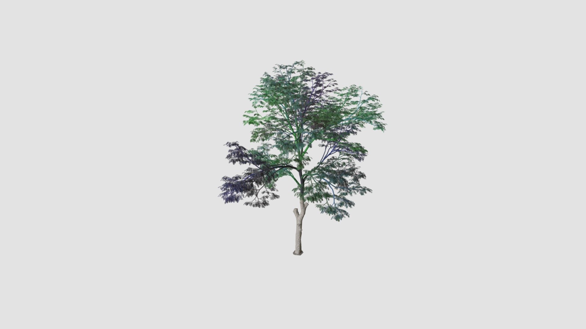 Tree - Buy Royalty Free 3D model by Evermotion [ecf2349] - Sketchfab Store