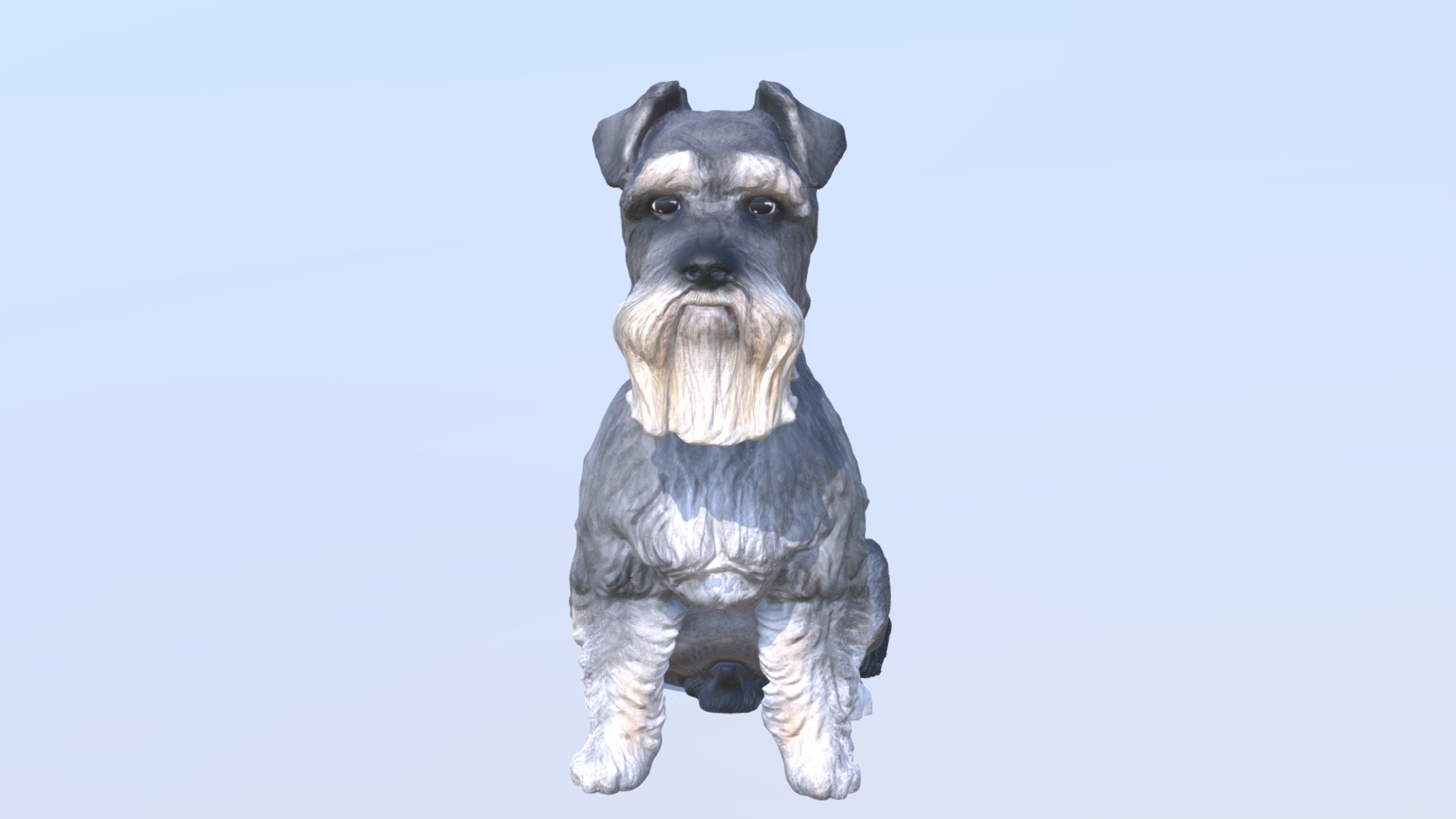 Rufus - Schnauzer - Corrected - 3D model by Arty Lobster - Pet ...