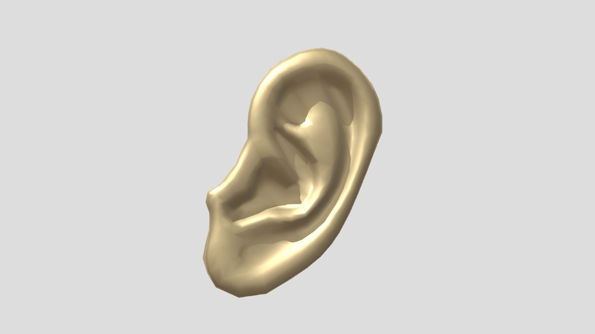 Ear - 3D model by Maphesdus [ecfd7fc] - Sketchfab