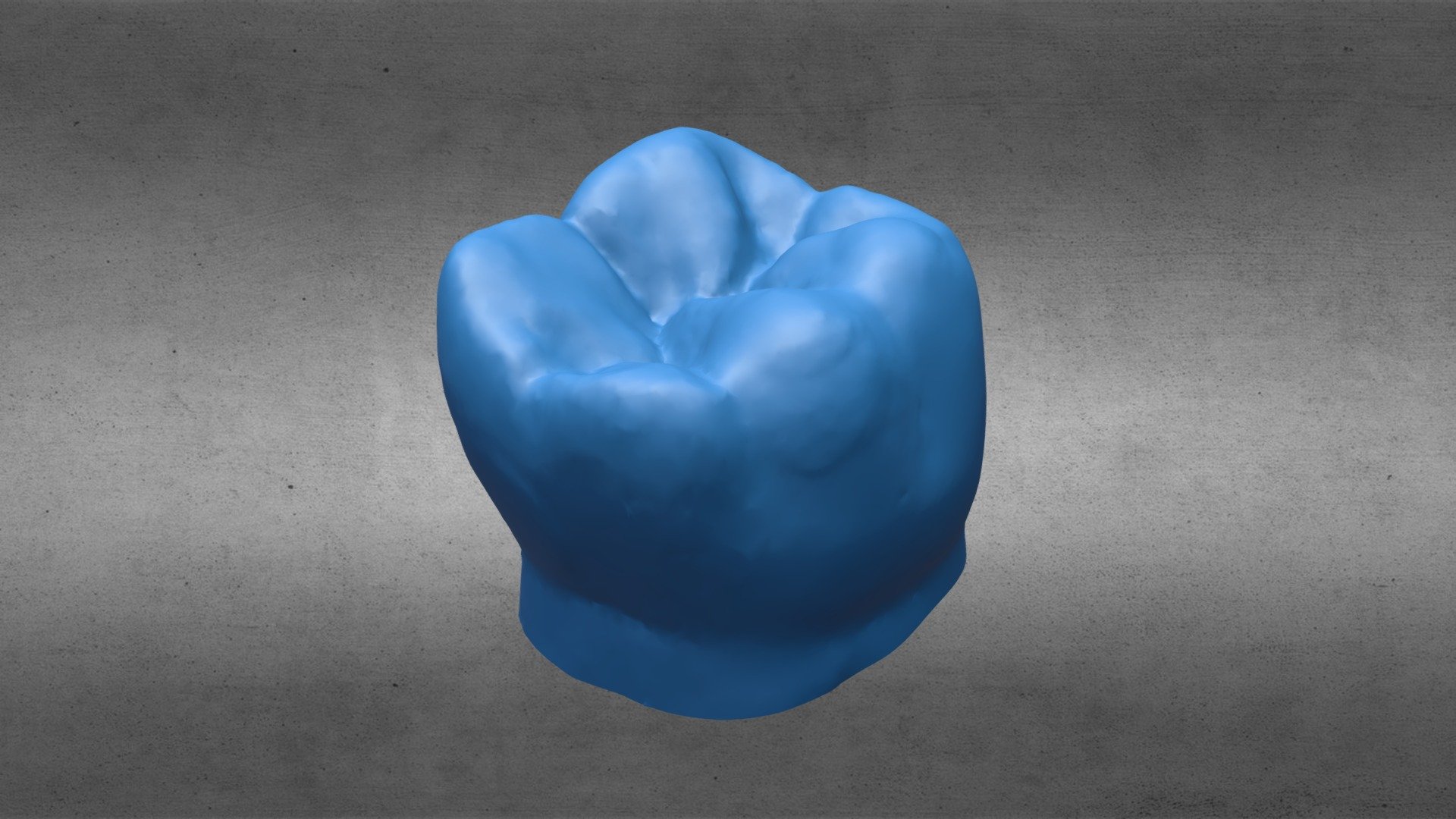Molar - 3D model by dinizbarreto [ed01927] - Sketchfab