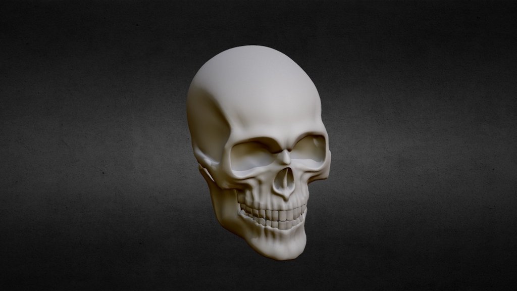 Skull - 3D model by MayurDange (@MayurD) [ed0e5a1] - Sketchfab
