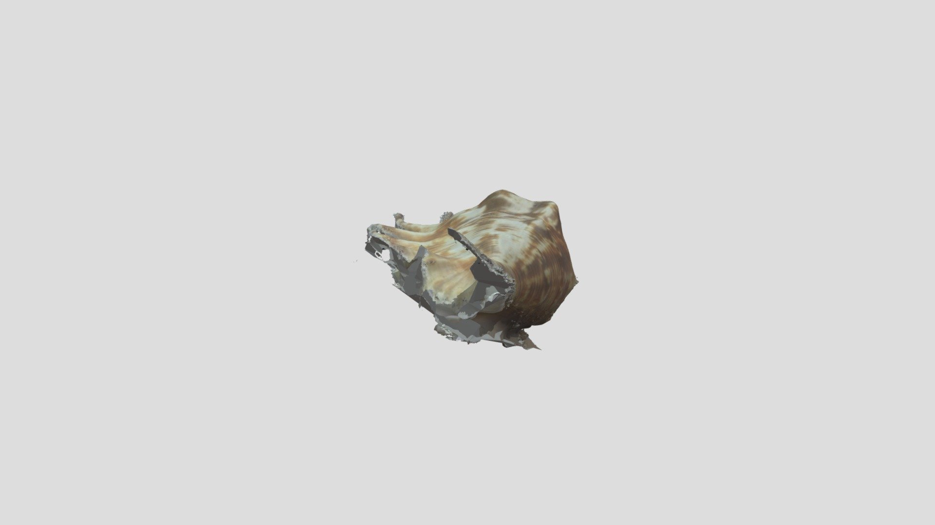 Sheldon Model 2 - 3D model by kymblack [ed1586a] - Sketchfab