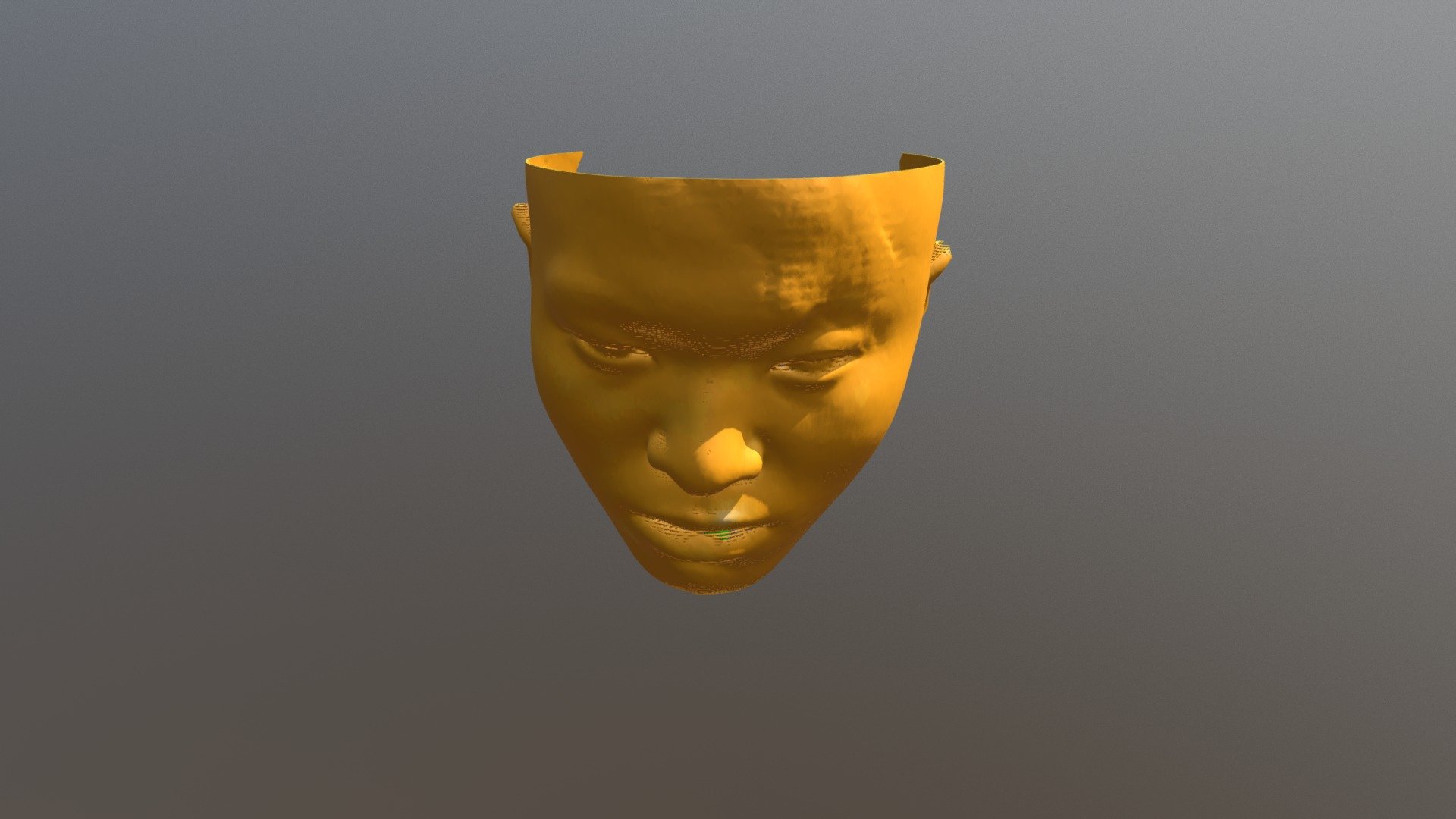 Skin+trachea - 3D model by dontchangela [ed21e0a] - Sketchfab