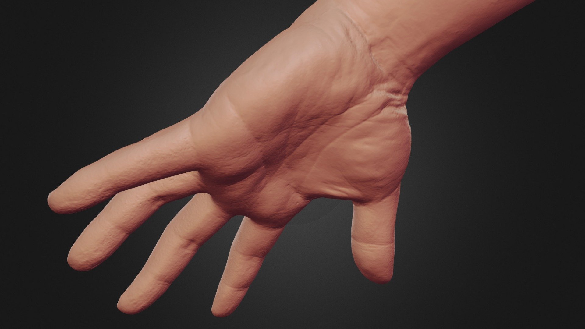 man_hand (3d scan) - Buy Royalty Free 3D model by Seattle 3D Studio ...