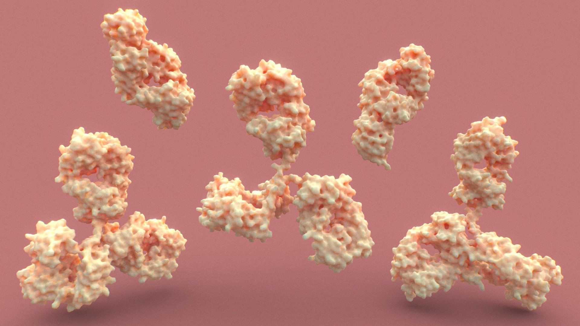 Antibody - Buy Royalty Free 3D model by truekit [ed29442] - Sketchfab Store