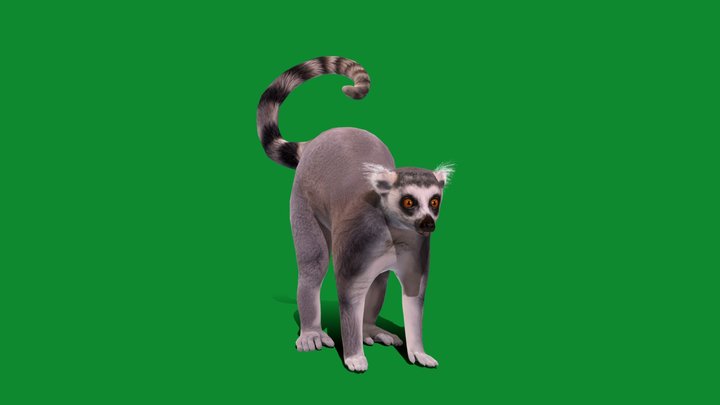 3d-lemur 3D models - Sketchfab