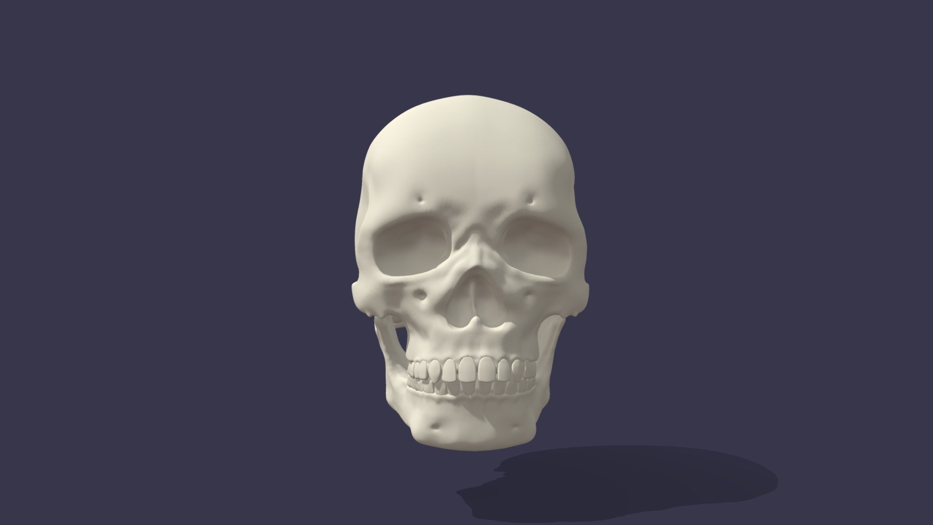 Skull Study - Download Free 3D model by Seth Blaine (@SethBlaine ...