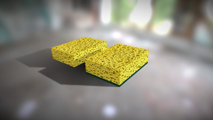 Sponge 3D models - Sketchfab