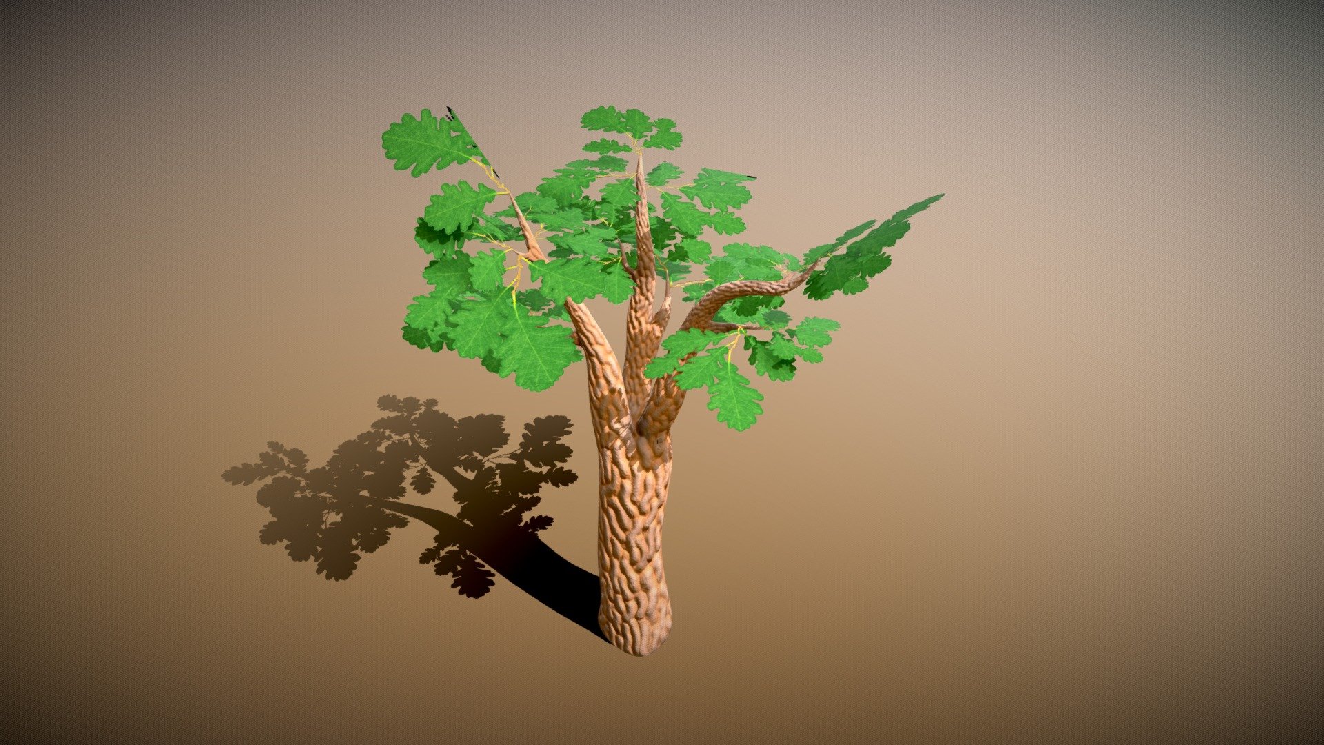 Tri Branch Tree - 3D model by dillonjacobyrankin5739 [ed5a527] - Sketchfab
