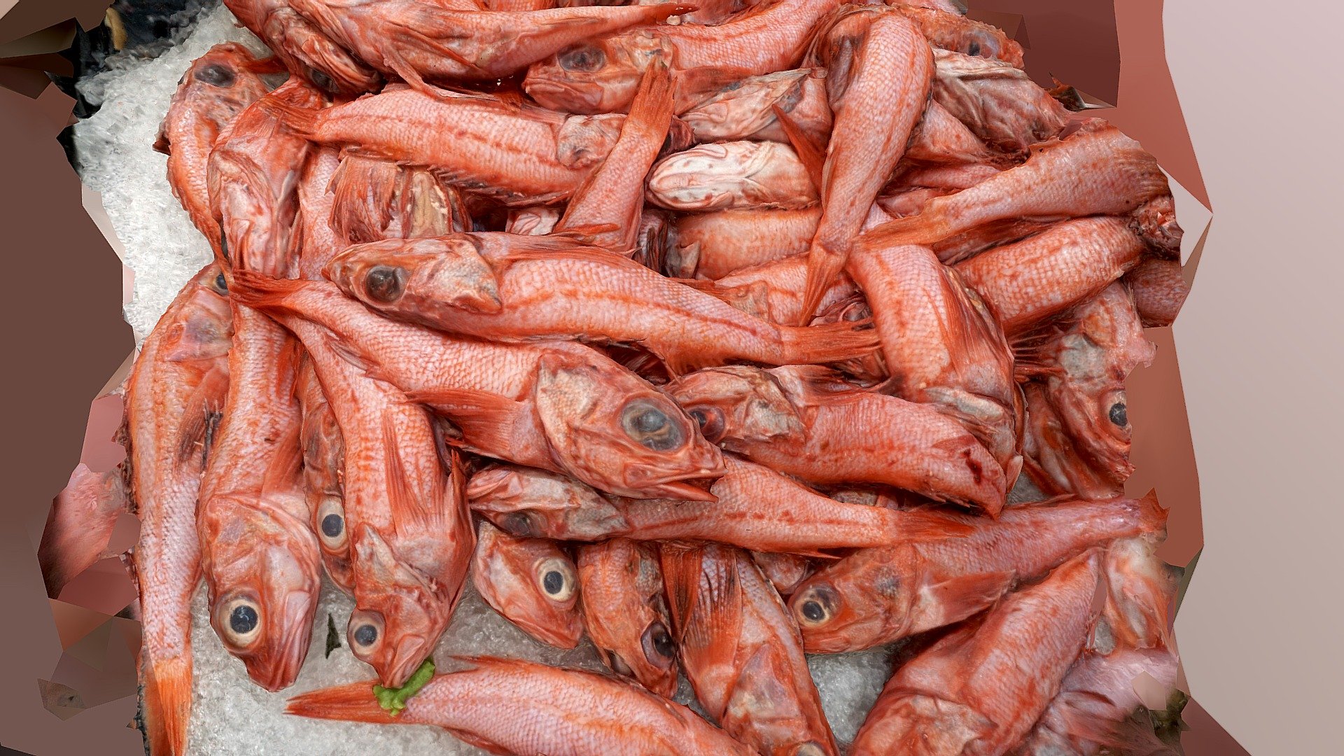 Fresh Red Fish - Buy Royalty Free 3D model by John Toeppen (@toeppen ...