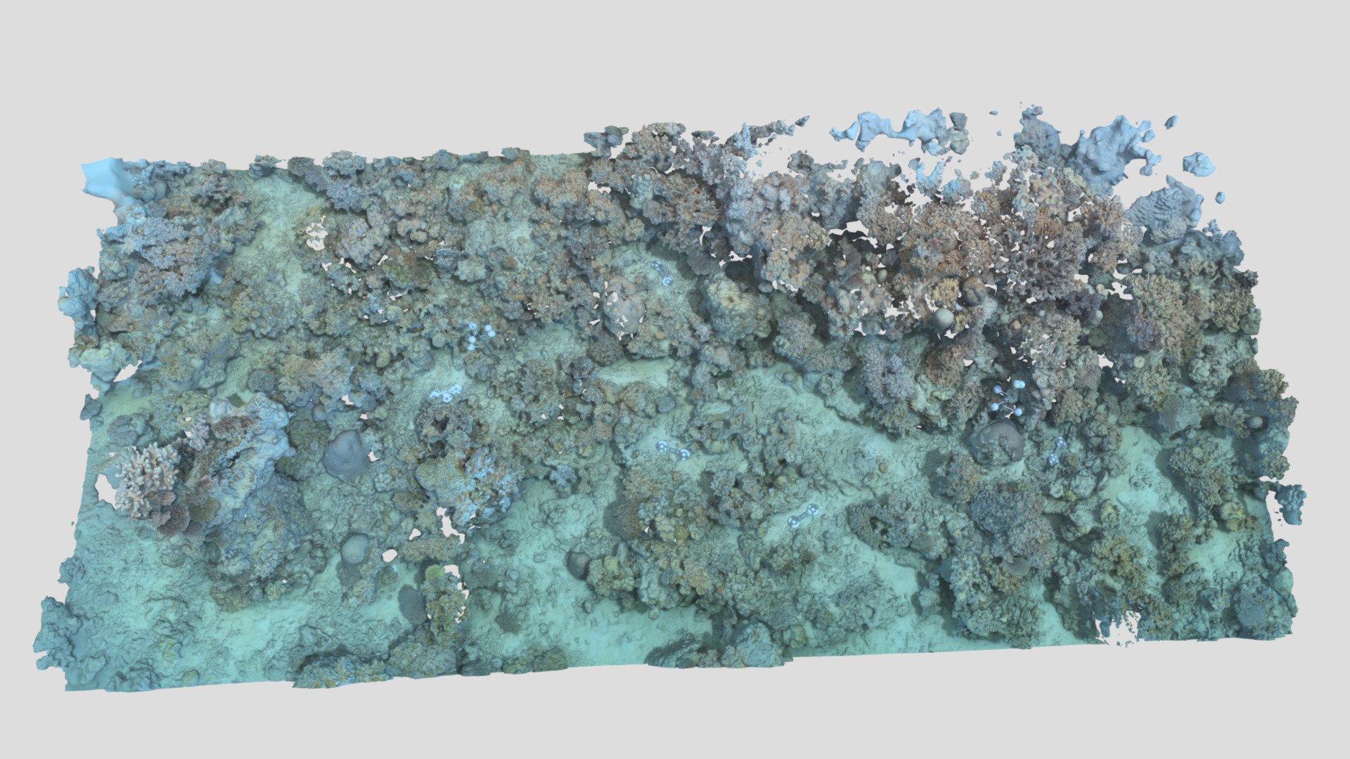Masig_FR2S_P3_202104 - Download Free 3D model by EcoRRAP (@AIMSEcoRRAP ...