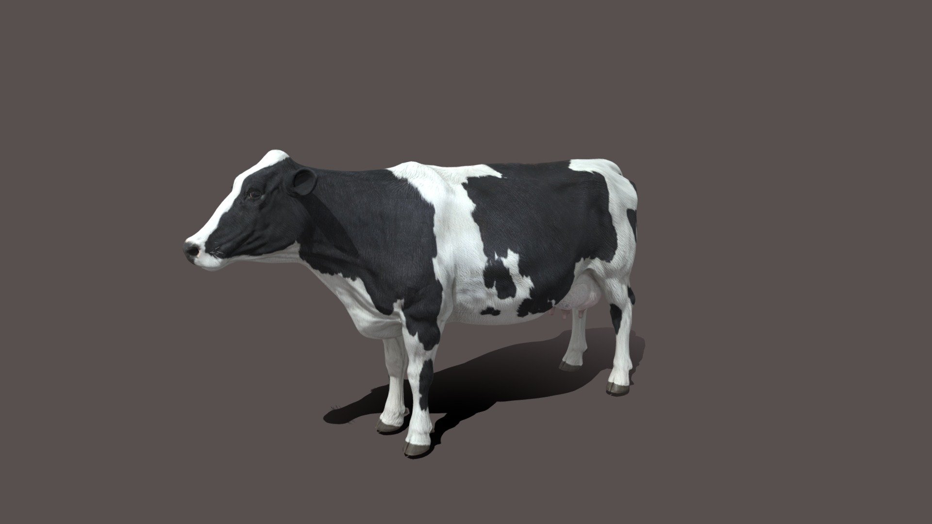 Cow - 3D model by Beautiful Animals (nyilonelycompany + theappgod ...