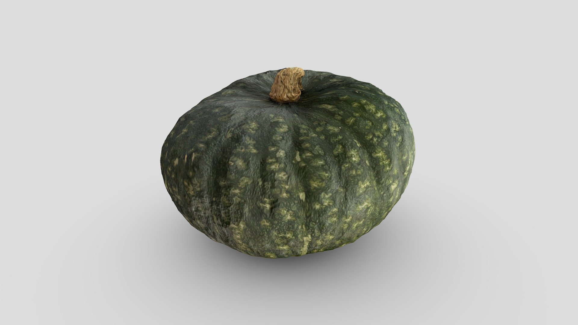 Squash - Download Free 3D model by avi [ed63306] - Sketchfab