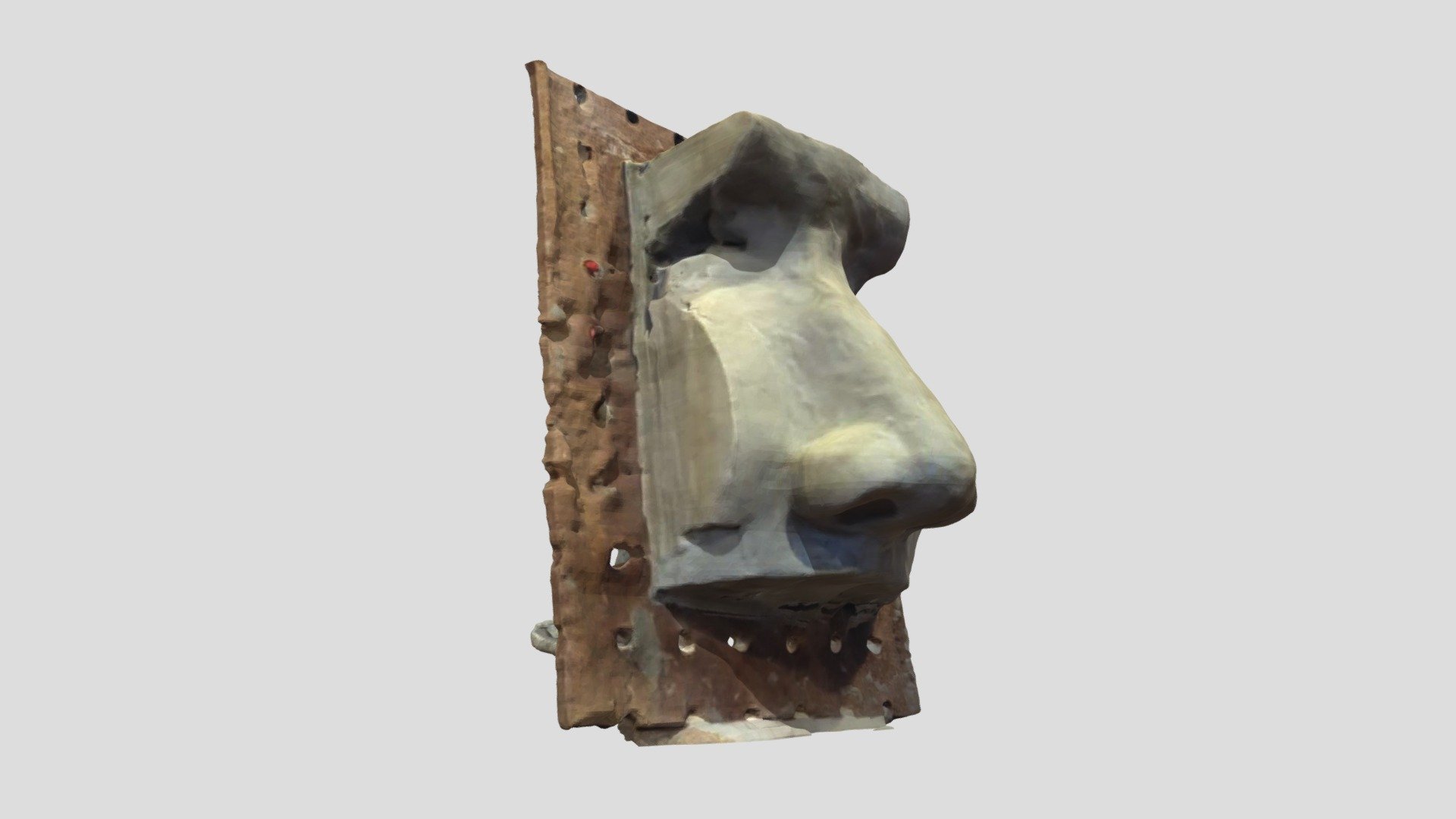 Large Nose Study - 3D model by SilverbackCT (@giering.m) [ed67198 ...