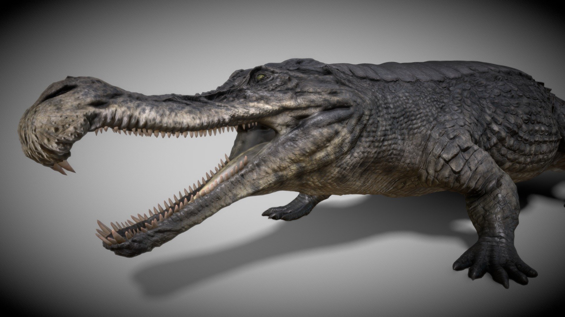 Sarchosuchus - Buy Royalty Free 3D model by robertfabiani [ed6bbc2 ...
