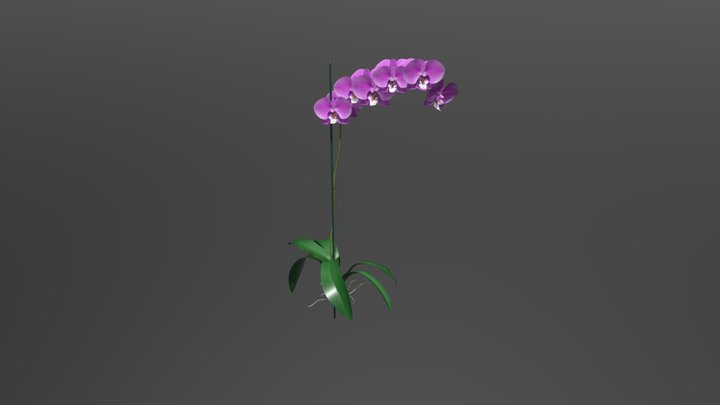 Flowe 3D models - Sketchfab