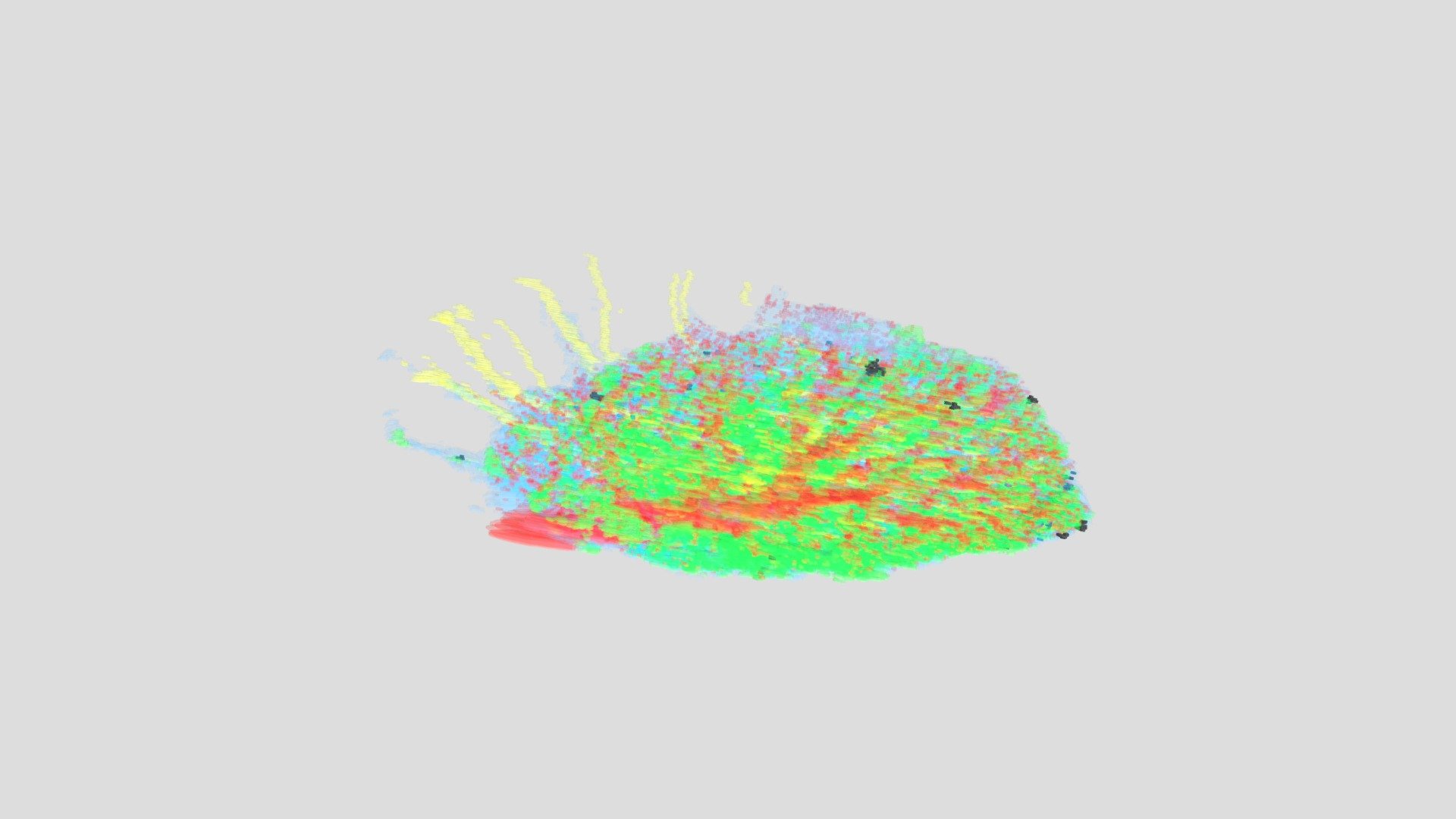 Rat Adrenal Medulla (transparent) - Download Free 3D model by K_G_K ...