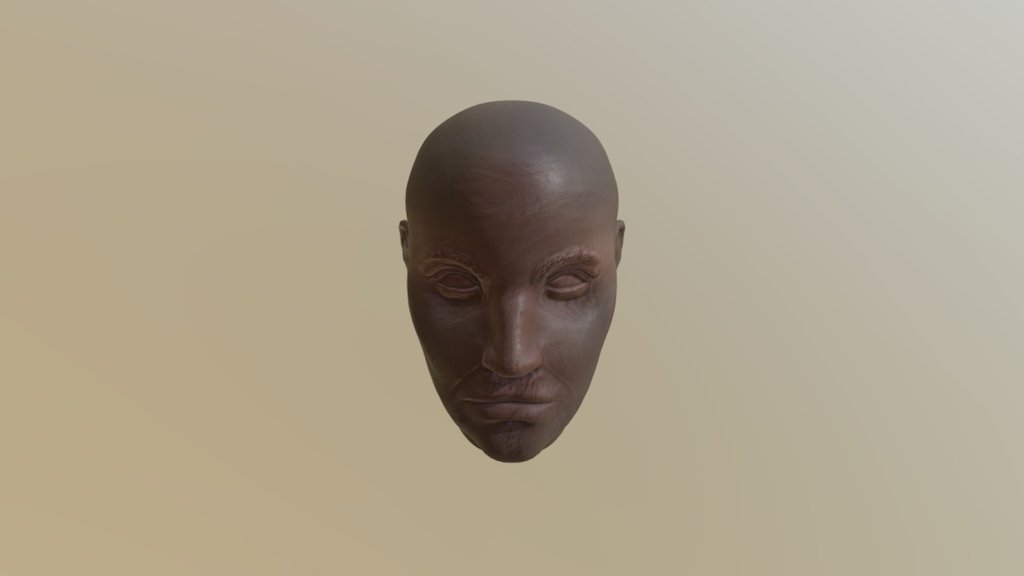 Test Head - Download Free 3D model by colinkushniruk [ed75006] - Sketchfab
