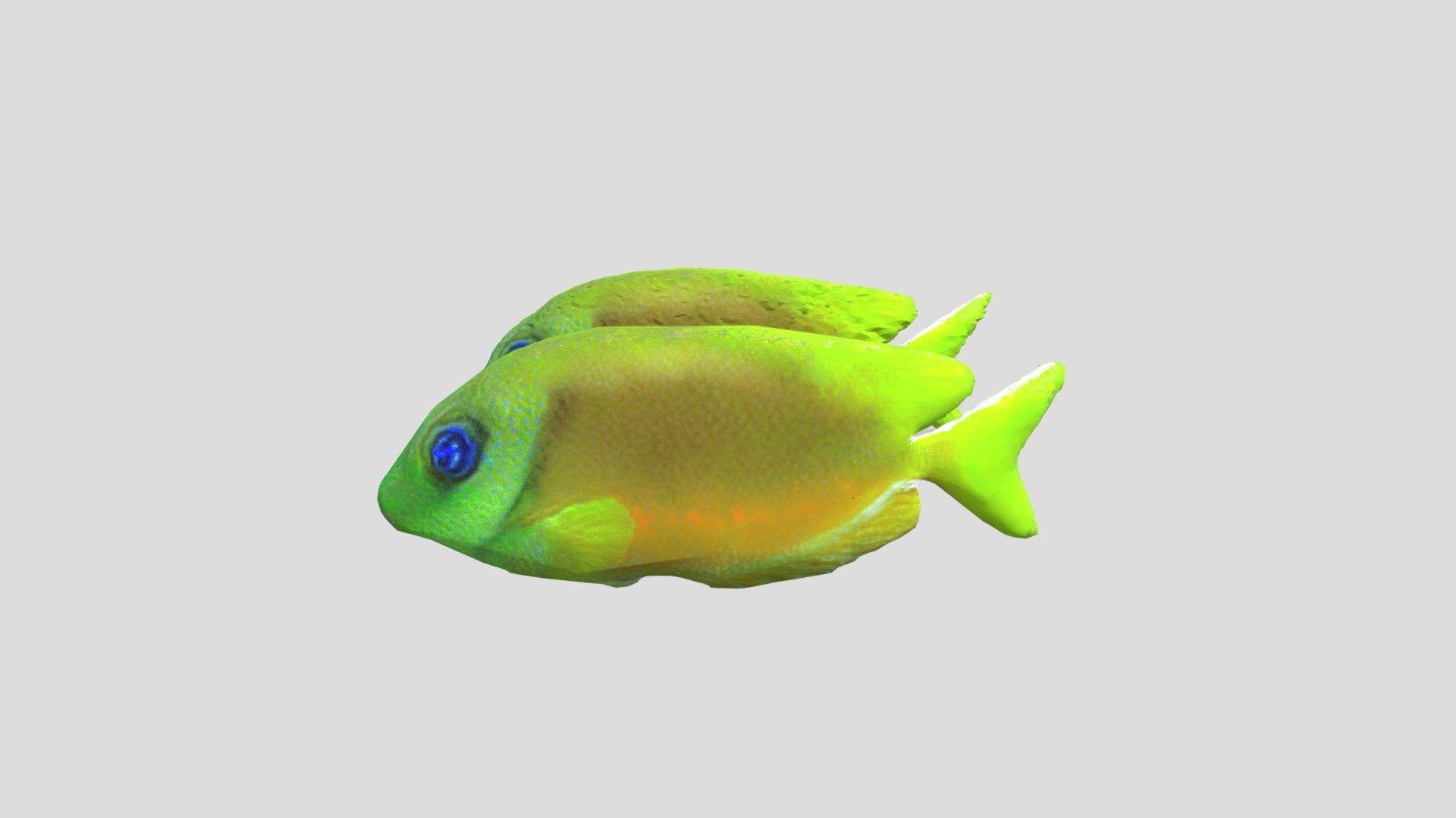 Fish Low - 3D model by inf222 [ed76c5c] - Sketchfab