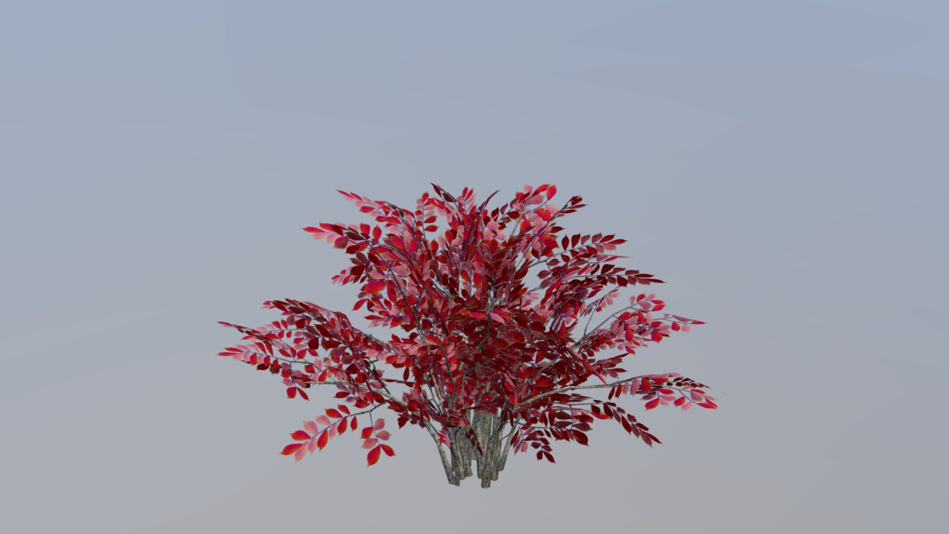 Bush (low poly) - 3D model by bahaa2 [ed773f4] - Sketchfab