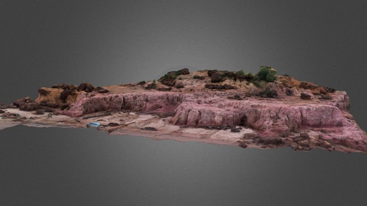 Amazonian 3D models - Sketchfab