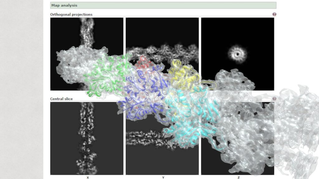 EMDB › EMD-3805 - 3D model by Interactive 3D Data (@proteinsimulation ...