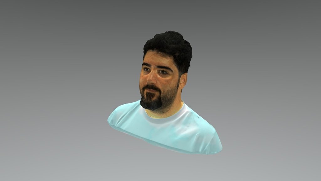3D Scan - 3D model by vedlab [ed82376] - Sketchfab